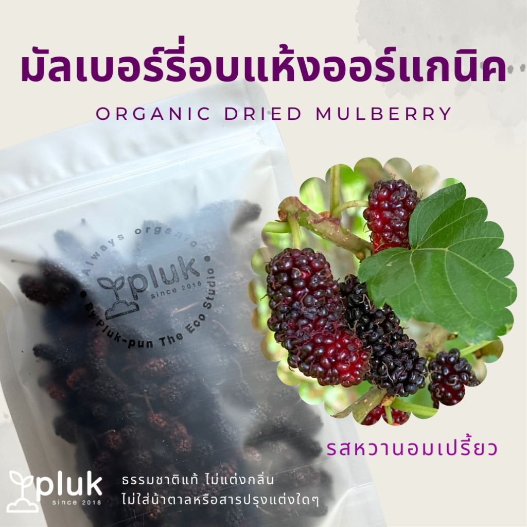 มัลเบอร์รี่อบแห้งออร์แกนิค Organic Dried Mulberries ชามัลเบอร์รี่ ลูกหม่อนอบแห้ง | Shopee Thailand