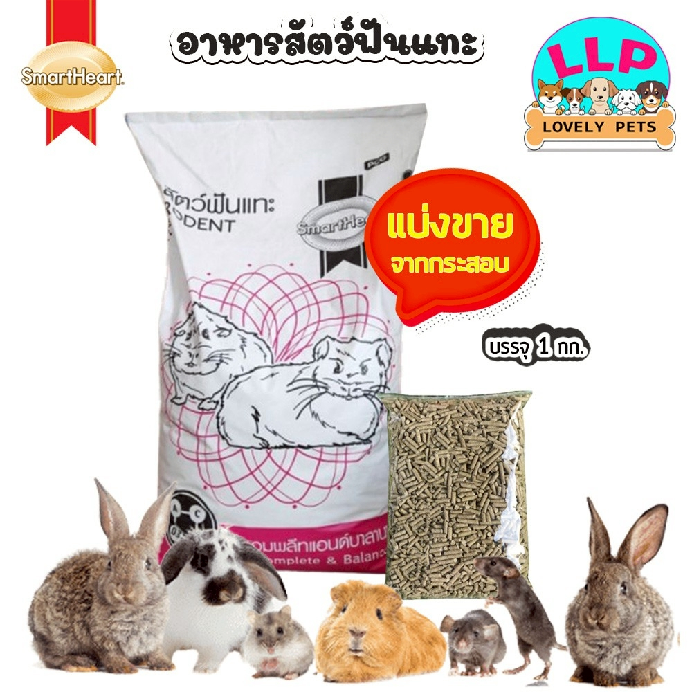 [LLP] SmartHeart Rodent อาหารสำหรับสัตว์ฟันแทะ ช่วยให้ขนนุ่ม สวย เงางาม ...