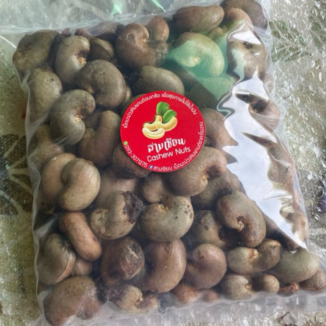 เมล็ดพันธุ์มะม่วงหิมพานต์ศรีสะเกษ60-1,60-2 (แพค 1 กิโล) จำนวน150-180 ...