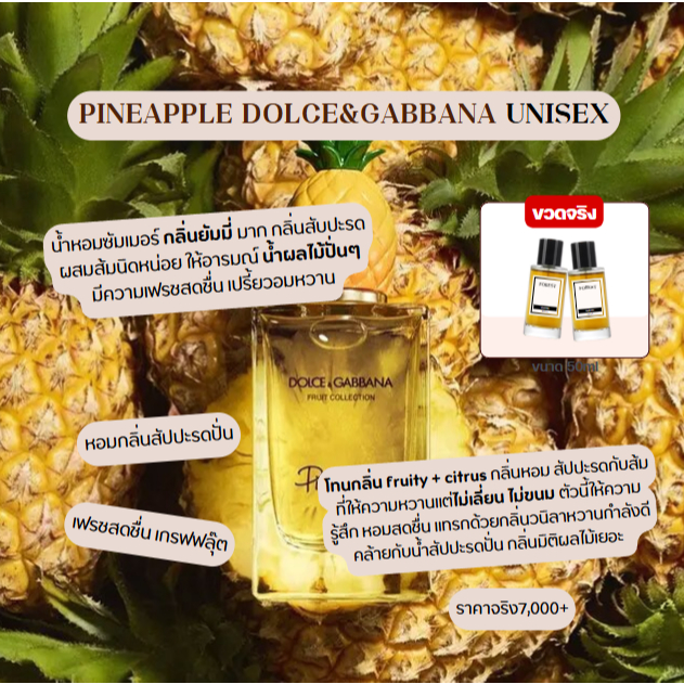 น้ำหอมโคลน forest perfume - กลิ่น Pineapple Dolce&Gabbana Unisex ขนาด 50ML | Shopee Thailand