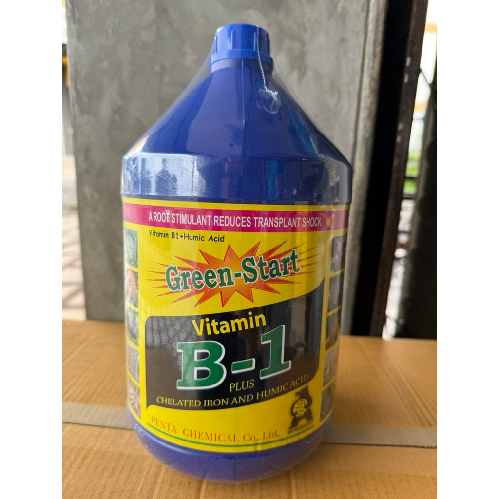 น้ำยาเร่งราก วิตามิน บี1 + ฮิวมิค Greenstart ขนาด 4 ลิตร ช่วยเร่งราก แตกรากฝอยสำหรับพืช | Shopee ...