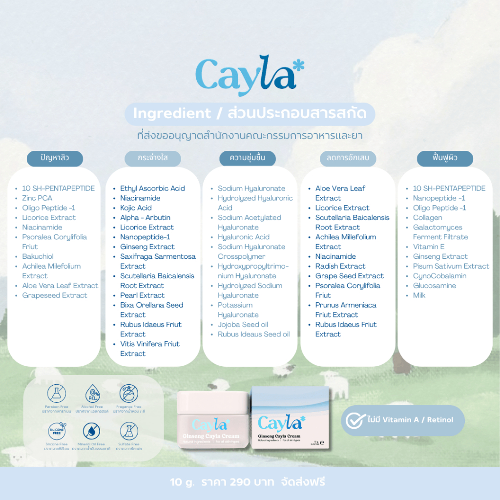 [ตะกร้าบริษัท] Cayla cream ครีมโสมเซล่า 10g. | Shopee Thailand