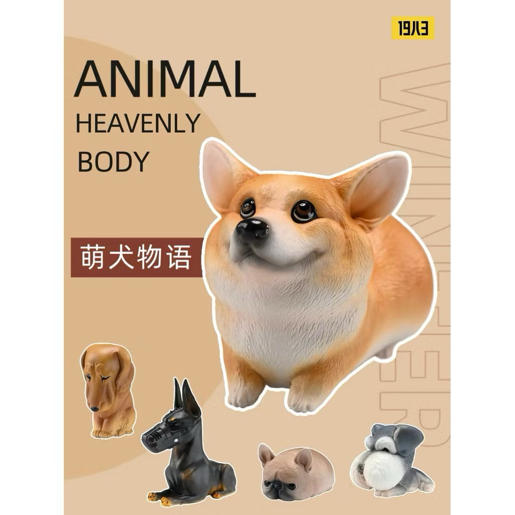 ลิขสิทธิ์แท้ Animal Planet x Cangming Studio Cute Dog Story Corgi Dog ...