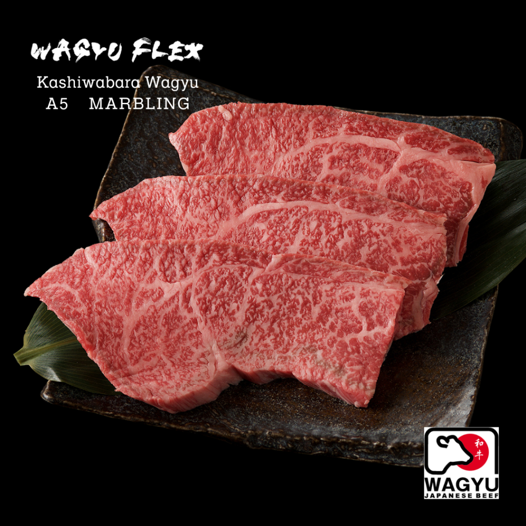 KASHIWABARA WAGYU A5 MARBLING STEAK | Shopee Thailand
