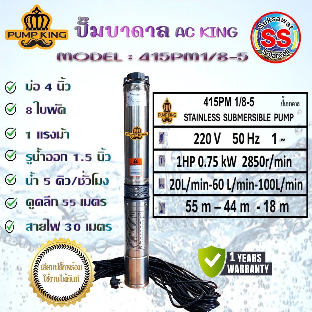 PUMP KING ปั๊มบาดาล AC รุ่น 415PM1/8-5 | Shopee Thailand
