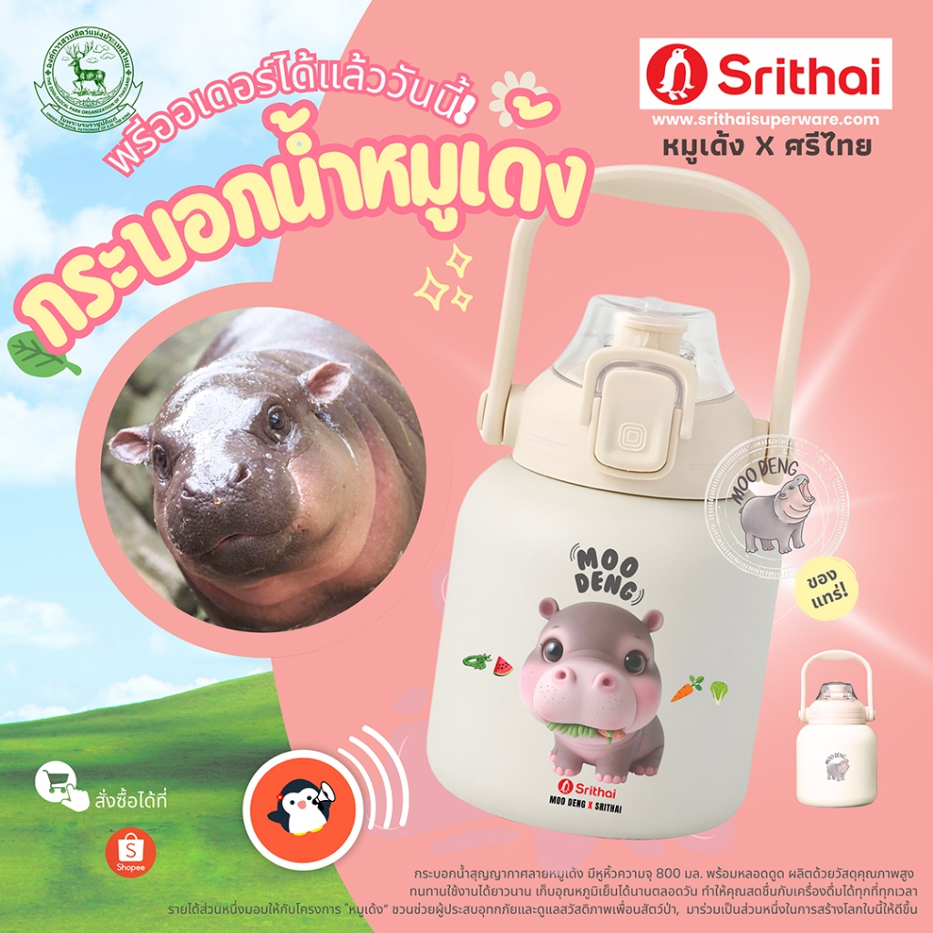 Srithai Superware กระบอกน้ำลายหมูเด้ง (Moodeng Tumbler) 800มล.สินค้าลิขสิทธิ์แท้ กระบอกน้ำ หมู ...