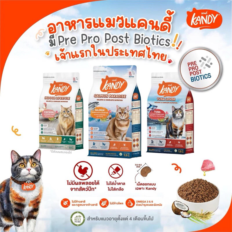 อาหารแมว Kandy Cat Food น้ำหนัก 1.5 kg และตัวอย่างสินค้า 30 กรัม ไม่ ...