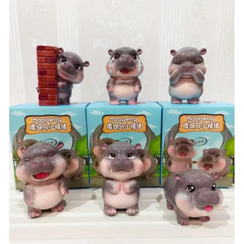 🔥พร้อมส่งจากไทย🔥ยกbox หมูเด้ง Moodeng 1box6จุ่ม | Shopee Thailand
