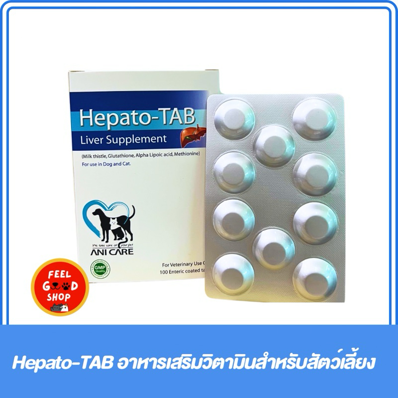 [ยกกล่อง] Hepato TAB 100 เม็ด หมดอายุ 26/03/26 บำรุงตับสำหรับสุนัขและ ...
