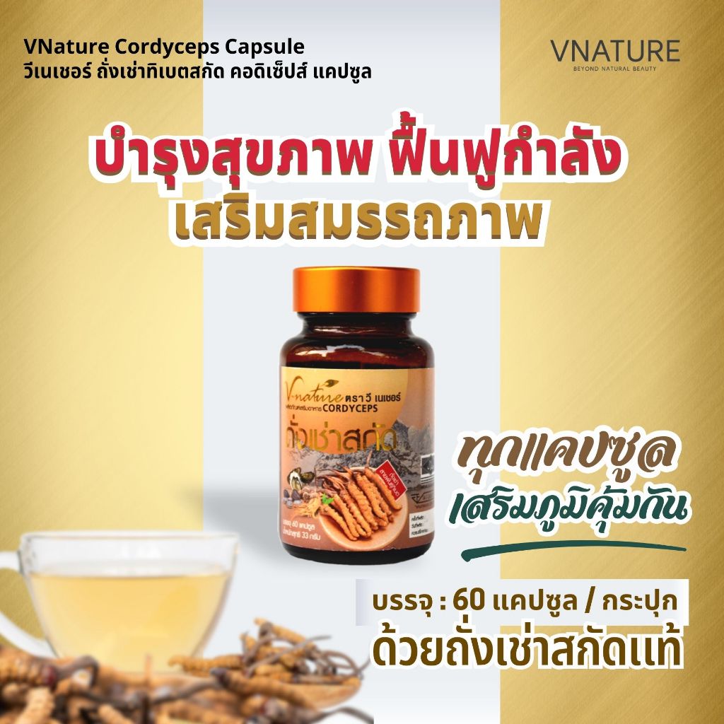 ถั่งเช่าทิเบต VNATURE Cordyceps ถั่งเช่าสกัด ถั่งเช่าแคปซูล แข็งแกร่ง ...