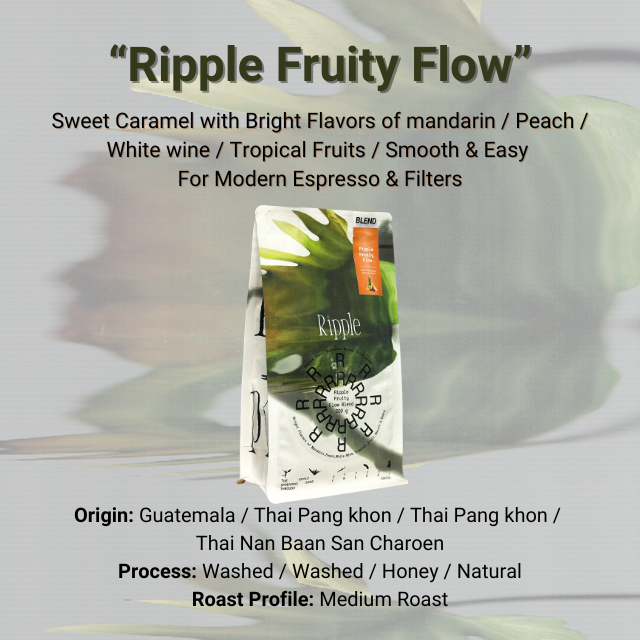Ripple เมล็ดกาแฟคั่วกลาง “Ripple Fruity Flow” | Shopee Thailand