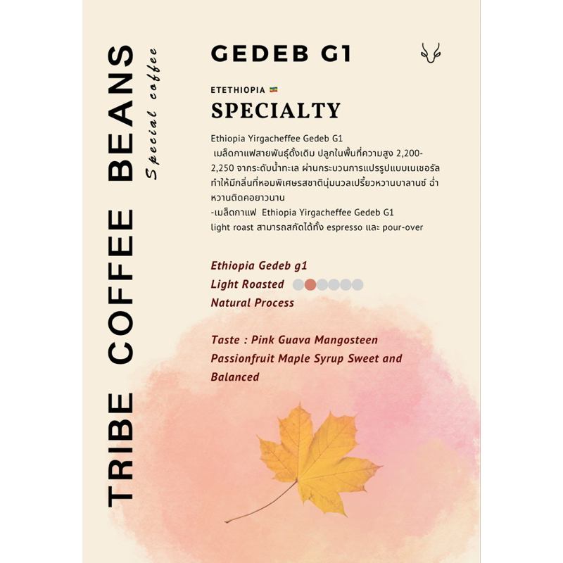 Ethiopia Gedeb g1 Light Roasted Natural Process | Shopee Thailand