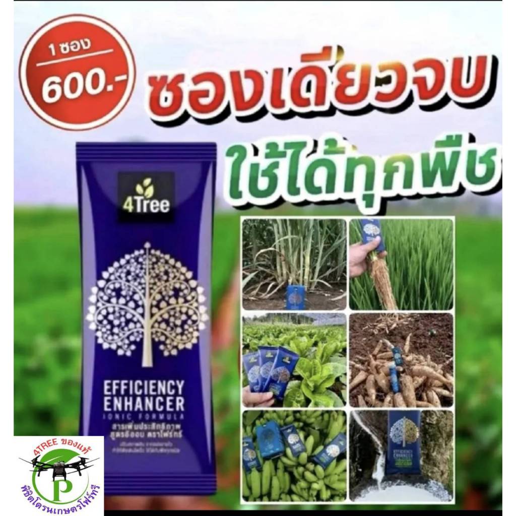 4Tree (โฟร์ ทรี) 1 ซอง ใช้ได้ 15-20 ไร่ สารเสริมประสิทธิภาพ พืชโตเร็ว ใช้ได้กับพืชทุกชนิด จาก ...