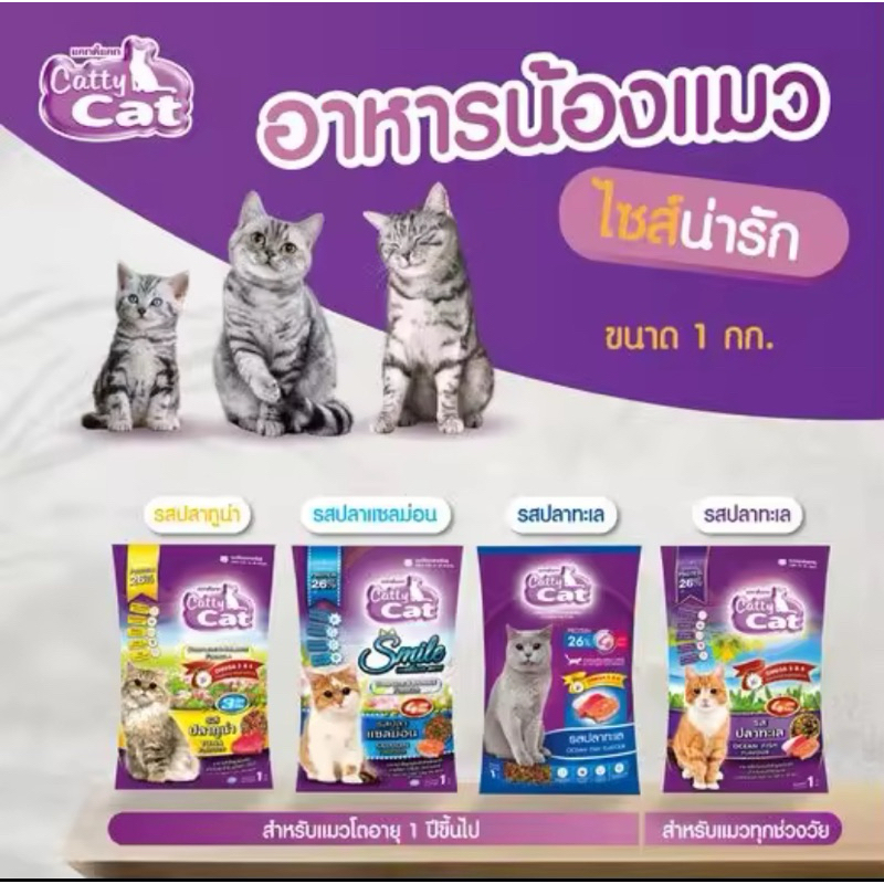 Catty Cat 1kg อาหารแมว บำรุงผิวหนัง ขนนุ่มสวยเงางาม มีคุณประโยชน์ ลด ...