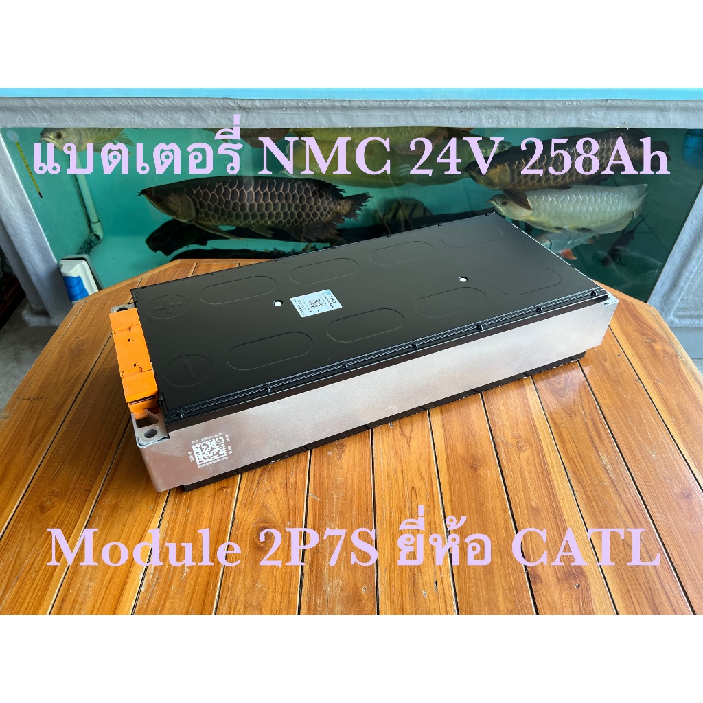 ( ส่งฟรี ) แบตเตอรี่ NMC Module 2P7S 24V 258Ah ยี่ห้อ CATL ( Battery ...
