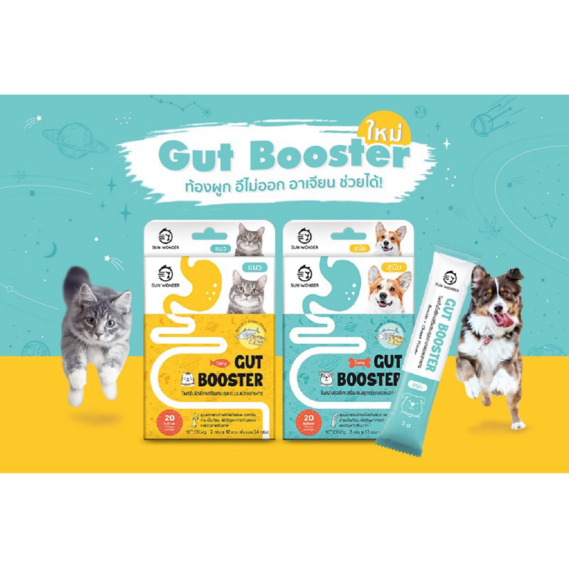 Gut Booster ผลิตภัณฑ์อาหารเสริมโพรไบโอติกคุณภาพสูงจาก Sun Wonder ...