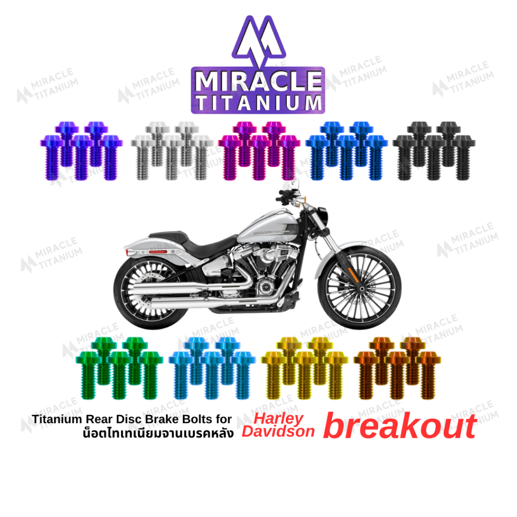 Harley-Davidson (Breakout) Titanium Rear Disc Brake Bolts น็อตจานเบครหลัง ไทเทเนียม | Shopee ...