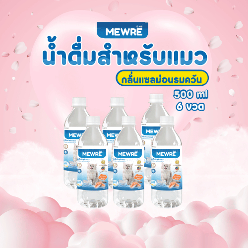 Mewre มิวเร่ •เซ็ตสุดคุ้ม 6 ขวด น้ำดื่มสำหรับแมว น้ำแมว กลิ่นแซลมอนรมควัน ขนาด 500ml. (S500 x 6 ...