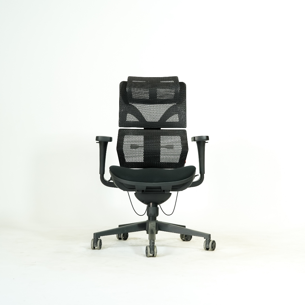 Ergotrend เก้าอี้เพื่อสุขภาพ รุ่น MALMO Light ตัวโชว์ (NO.4063) | Shopee Thailand