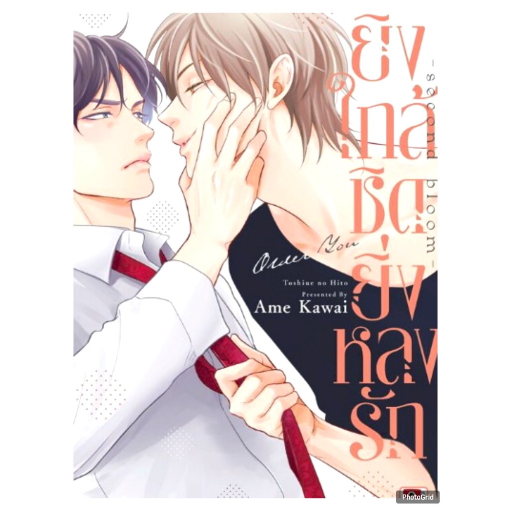 ยิ่งใกล้ชิดยิ่งหลงรัก -Second Bloom- เล่มเดียวจบ การ์ตูนวาย หนังสือการ์ตูนวาย BL มังงะ เซนชู 19 ...