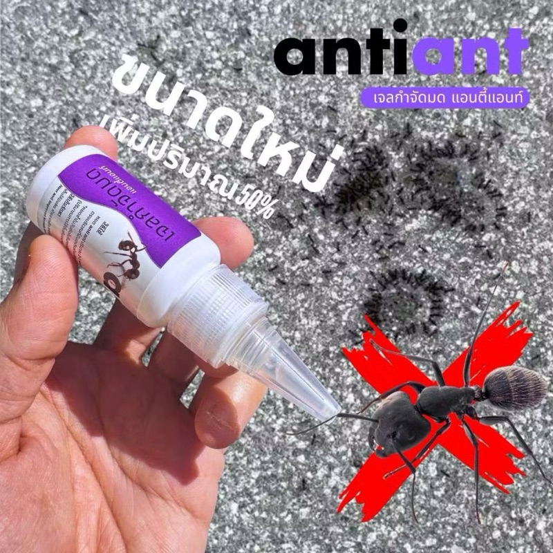 ขนาด 30กรัม เจลกำจัดมด Antiant ของแท้เท่านั้น เหยื่ิอมด แอนตี้แอนท์ | Shopee Thailand