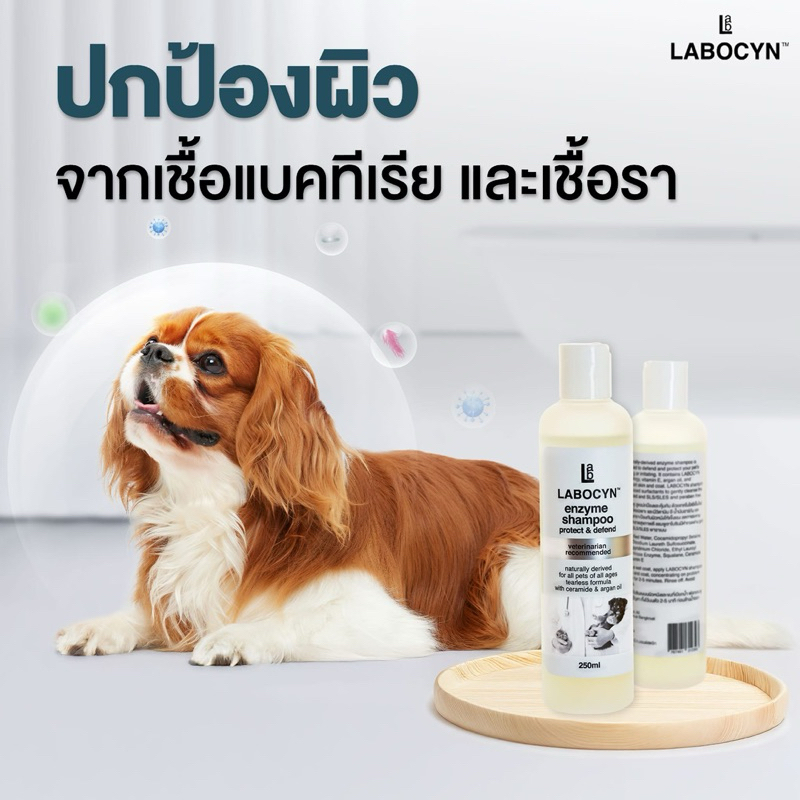 LABOCYN ENZYME 250ml แชมพู สัตว์เลี้ยง | Shopee Thailand
