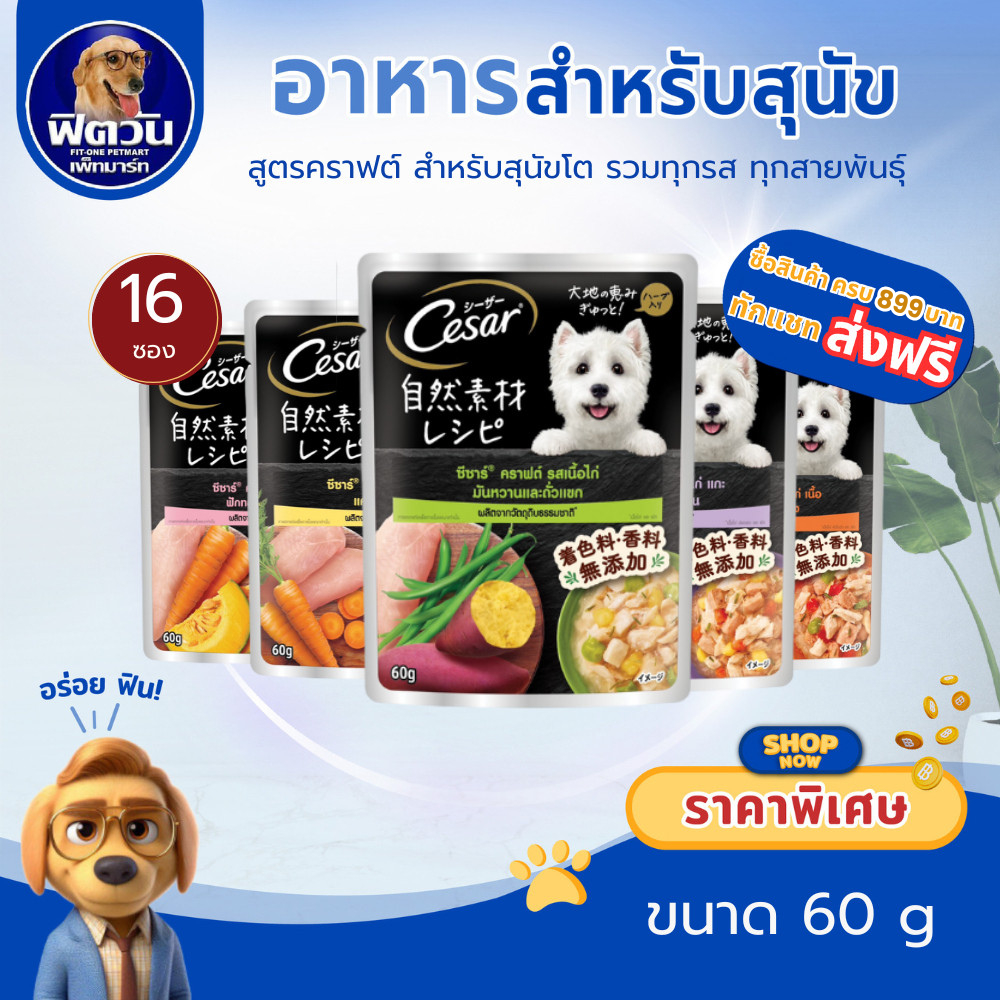[X16ซอง] CESAR CRAFT อาหารเปียกสุนัข ขนาด 60 กรัม {อาหารเปียกสุนัข ...