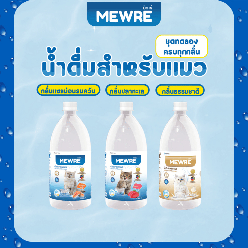 Mewre น้ำดื่มสำหรับแมวชุดทดลอง คละกลิ่น ขวดใหญ่ (ขนาด 1,000 ml.) | Shopee Thailand