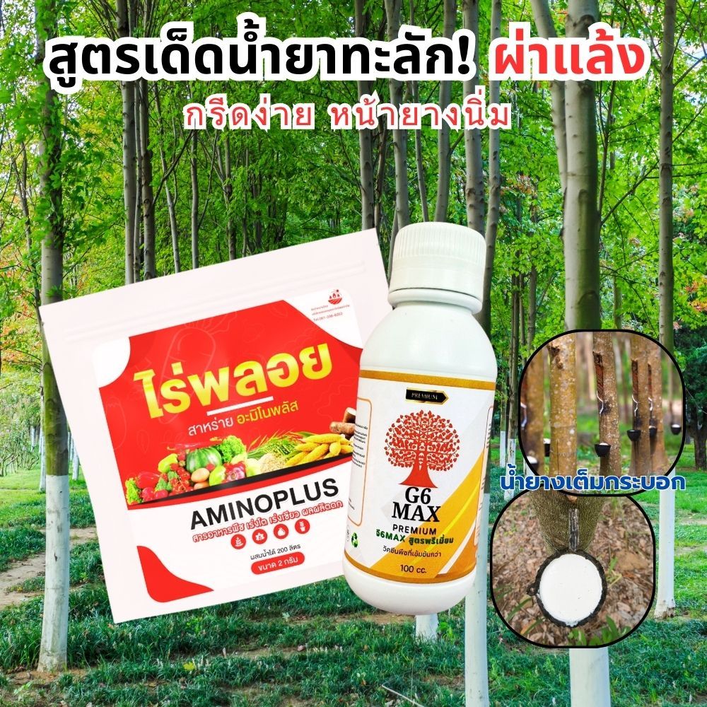 ไร่พลอย + G6MAX ชุดช่วยบำรุงหน้ายางพารา เพิ่มปริมาณน้ำยาง หน้ายางนิ่ม | Shopee Thailand