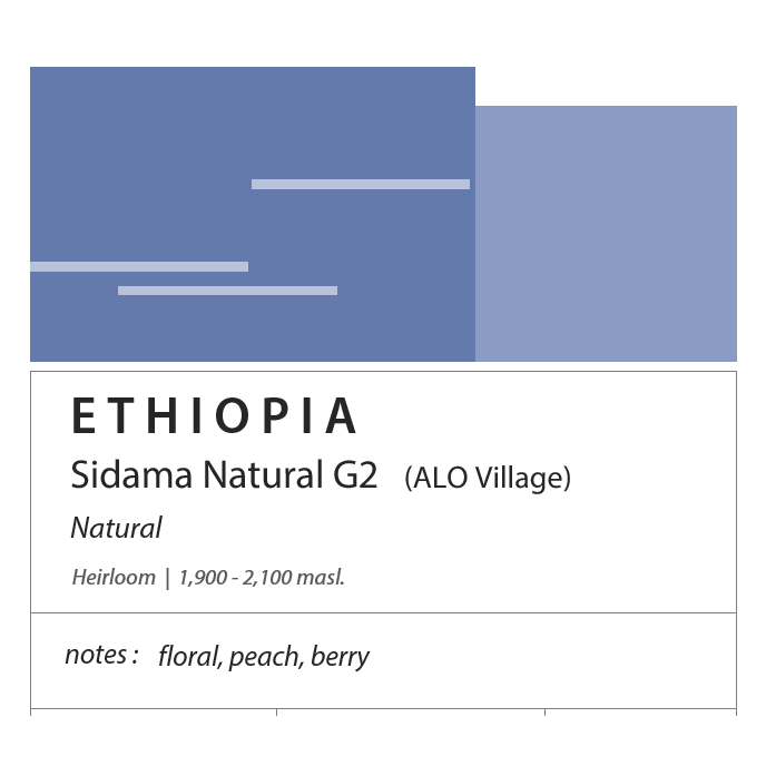 Ethiopia Sidama Natural G2 (ALO Village) | Shopee Thailand
