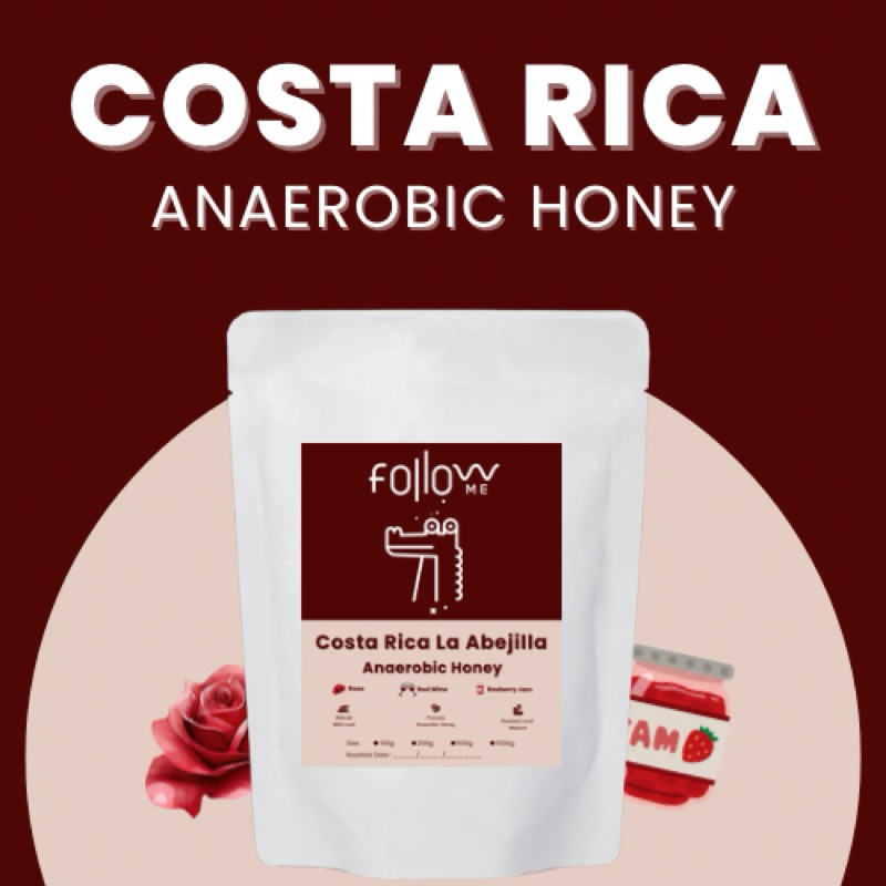 เมล็ดกาแฟ Costa Rica Anaerobic Honey process | Shopee Thailand