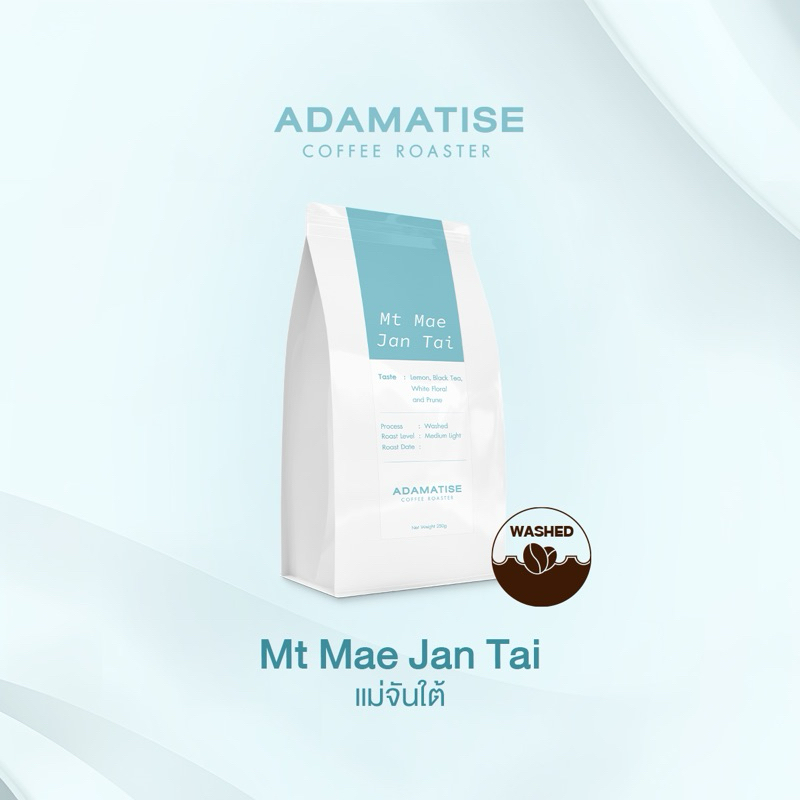 เมล็ดกาแฟคั่ว Mt Mae Jan Tai แม่จันใต้ | Adamatise Coffee Roaster ...