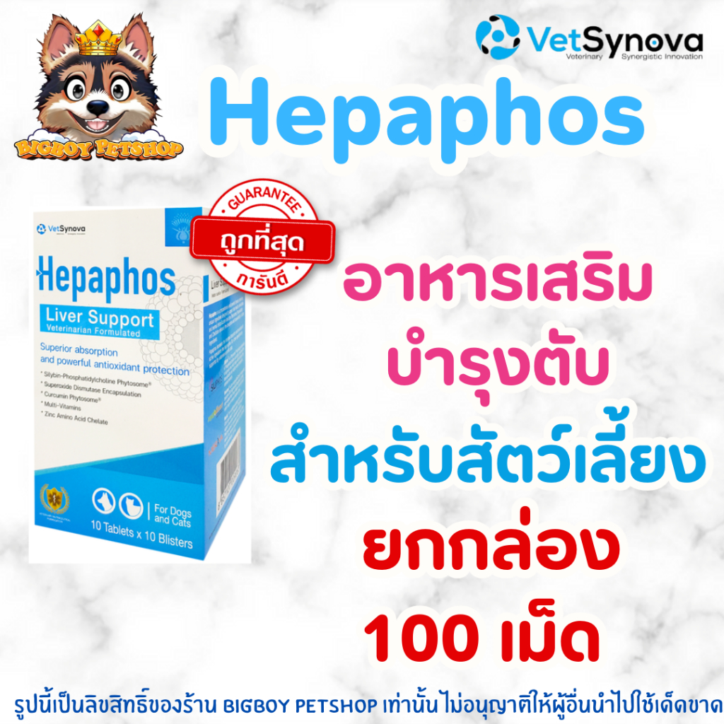 Hepaphos Liver Support (1 กล่อง 100เม็ด) เฮปพาฟอส วิตามิน บำรุงตับ ...