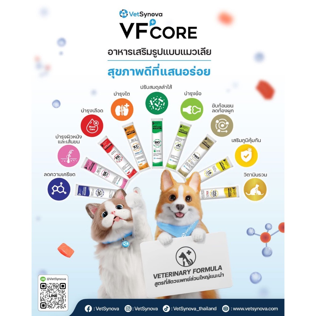 [แบ่งขาย 1 ซอง] VFcore ขนมแมวเลีย วิตามินแมว 12 g. | Shopee Thailand