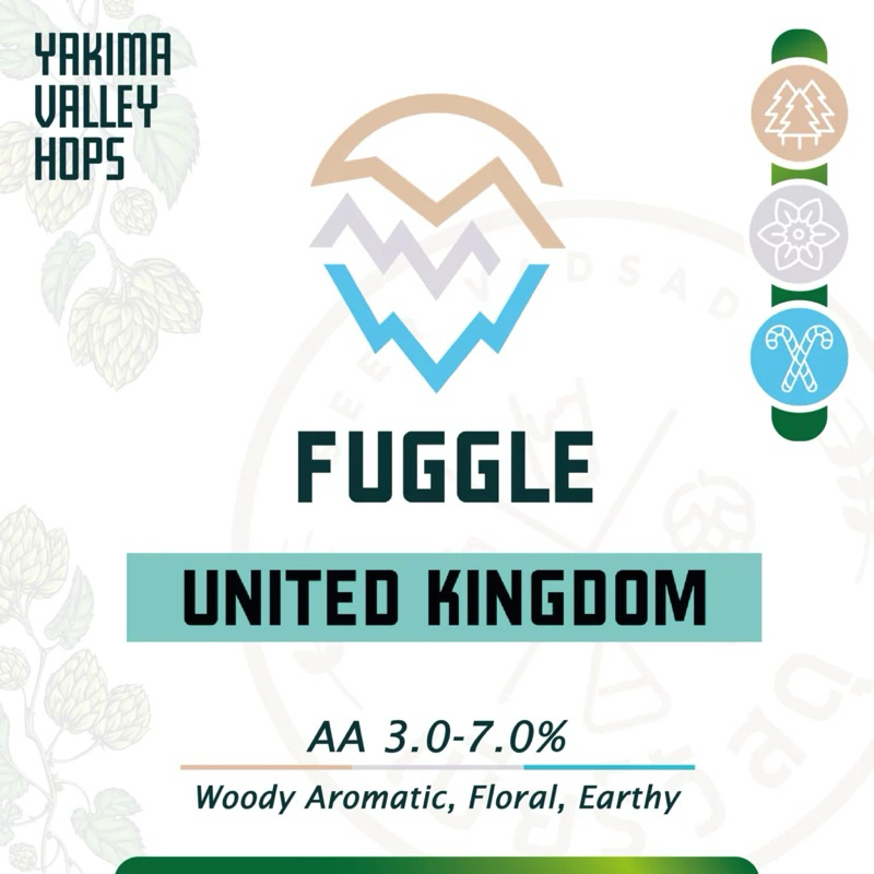ฮอป Fuggle Hops (50g) | Shopee Thailand