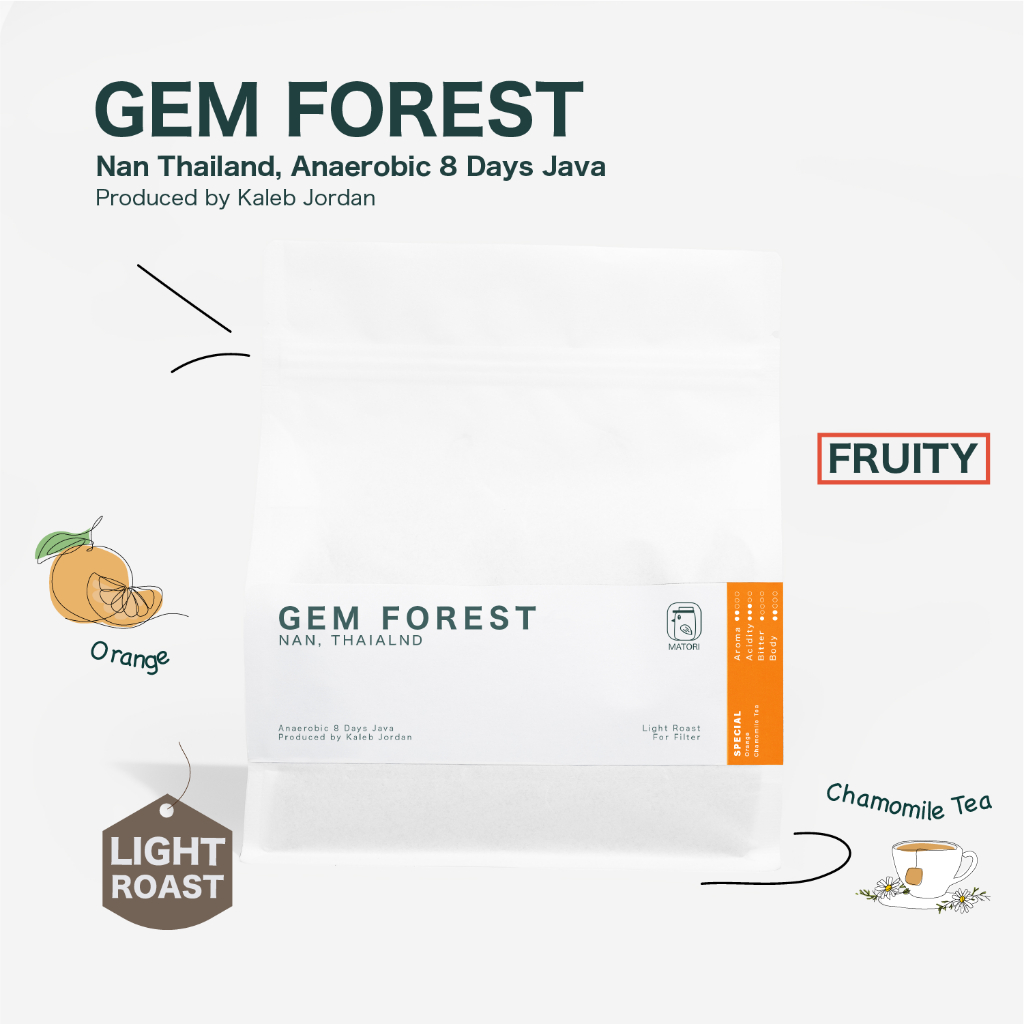 Matori Coffee Roaster เมล็ดกาแฟคั่วอ่อน Thailand, Nan Gem Forest ...