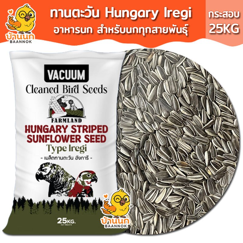 Roland ทานตะวัน ฮังการี Iregi 25kg (ยกกระสอบ) อาหารนก แฮมสเตอร์ นกแก้ว ...