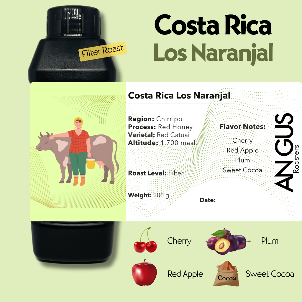 Angus Coffee Roasters เมล็ดกาแฟคั่ว Filter- Costa Rica Los Naranjal ...