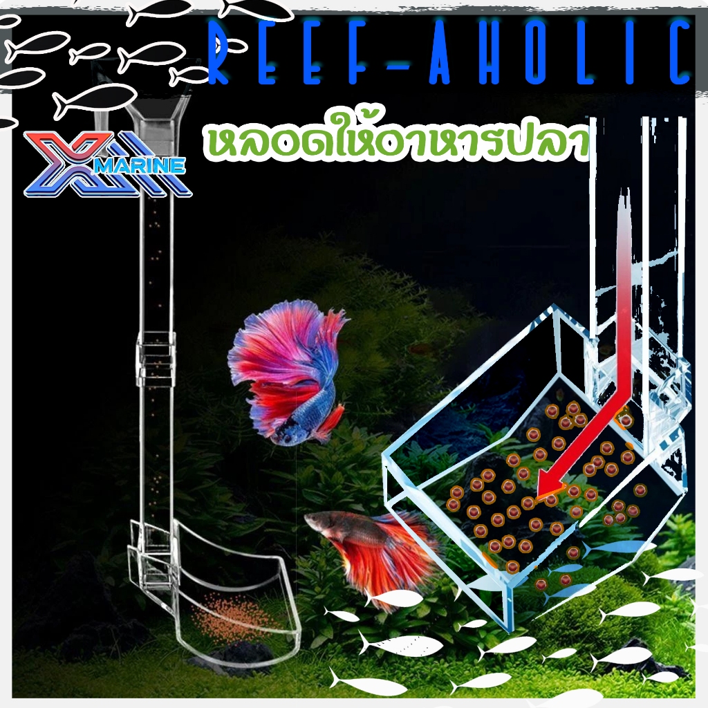 Reef-aholic หลอดให้อาหารปลา X-Marine ให้อาหารกุ้ง แบบให้มันไหลลงไป ตกอยู่ในถ้วย | Shopee Thailand