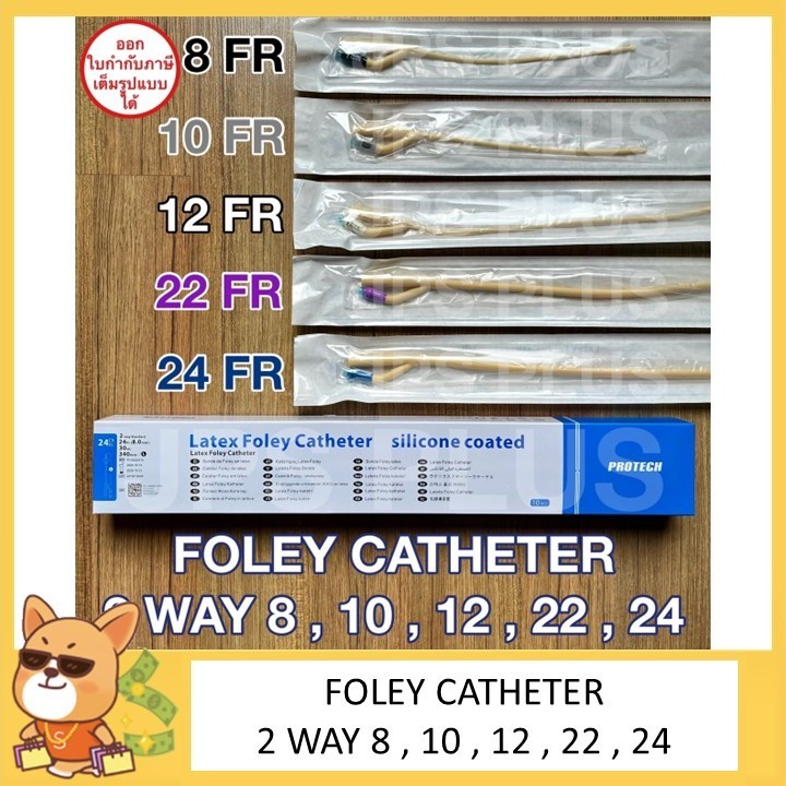 Foley Catheter 2 way เบอร์ 8 , 10 , 12 , 22 , 24 สายสวนปัสสาวะ 2 ทาง ...