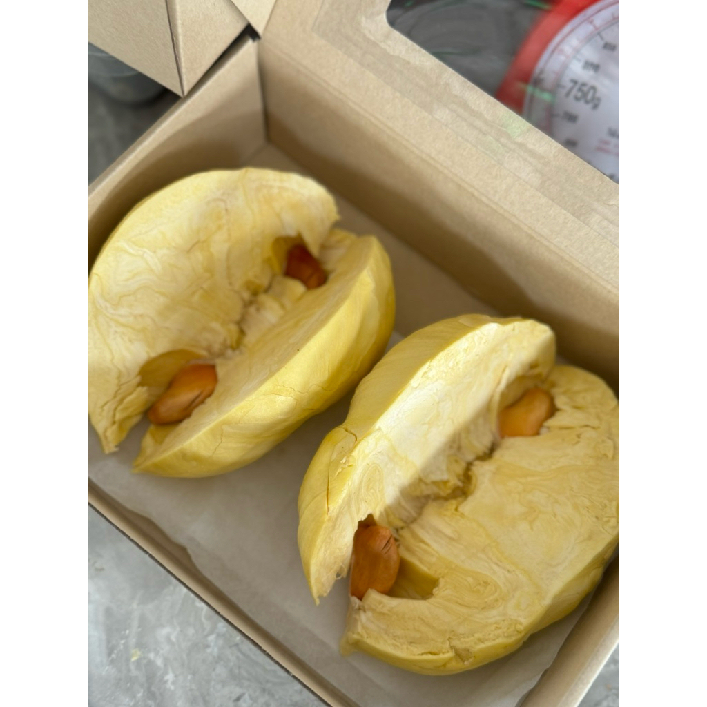 ทุเรียนหมอนทองภูเขาไฟ5Kg2ลูก | Shopee Thailand