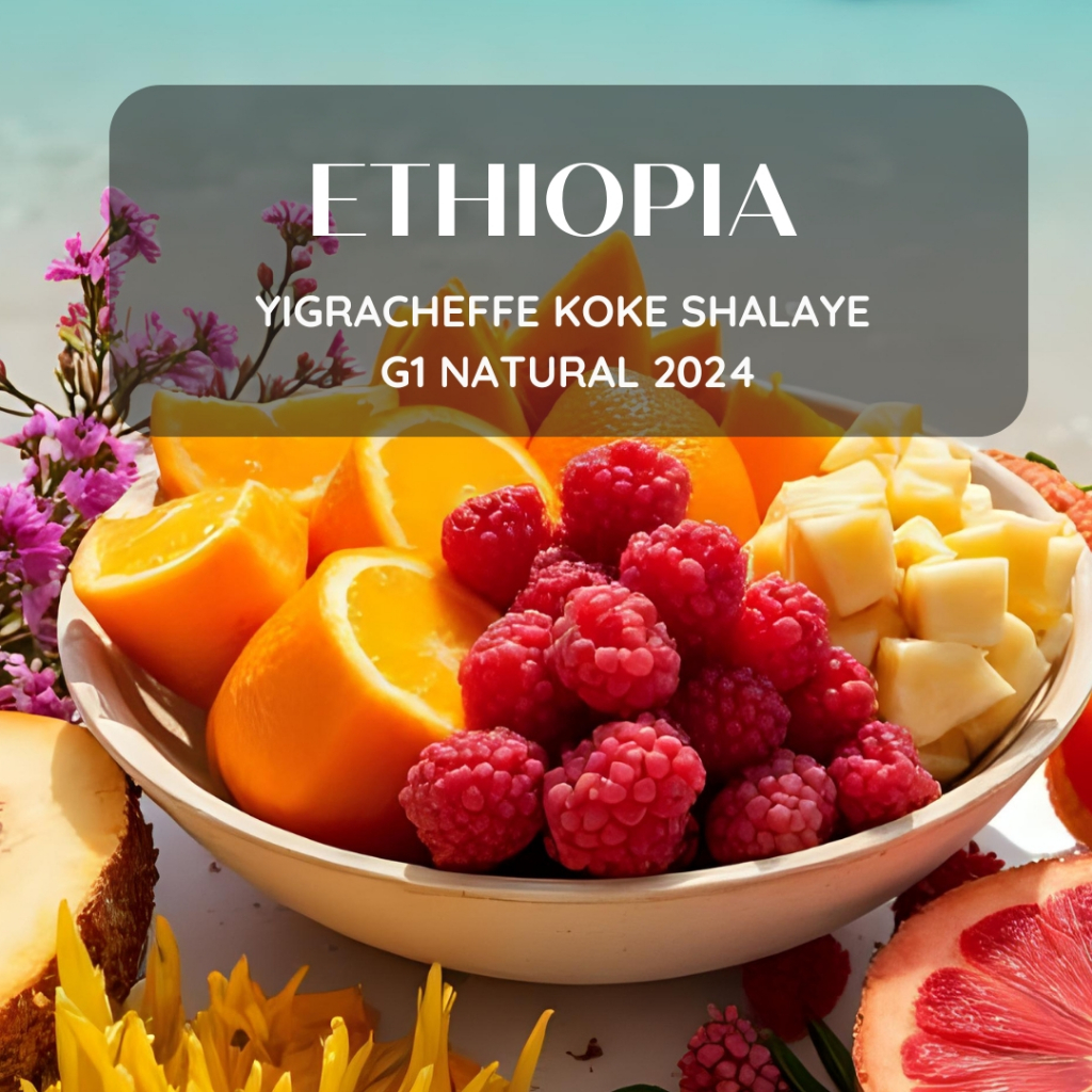 สารเมล็ดกาแฟ Ethiopia Yigracheffe Koke Shalaye G1 Natural 2024 | Shopee ...