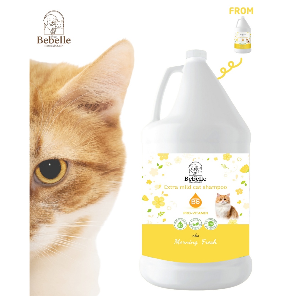 แชมพูแมวแกลลอนใหญ่ 3800ml Bebelle (บีเบล) | เหมาะกับร้านอาบน้ำตัดขน ขน ...