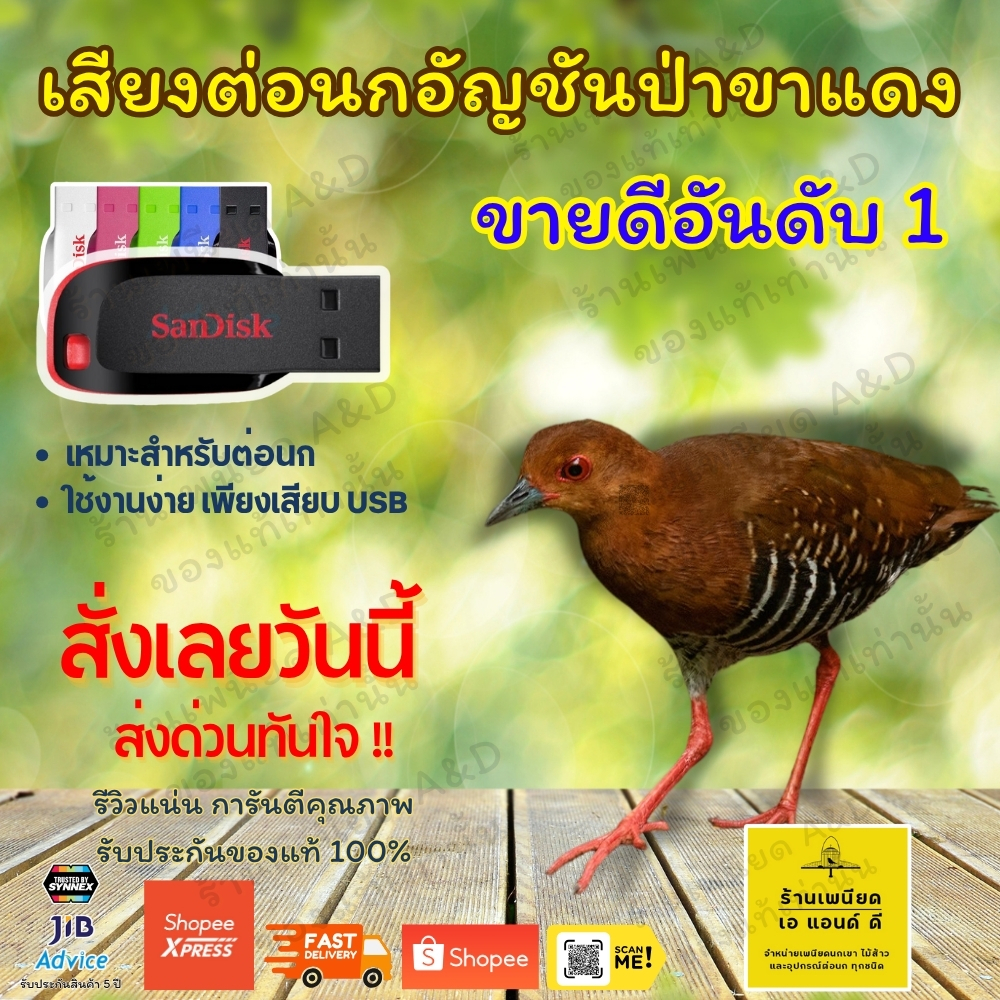 Flash Drive เสียงต่อ นกอัญชันป่าขาแดง – คมชัด 6 ชั่วโมง ไม่มีโฆษณา ...