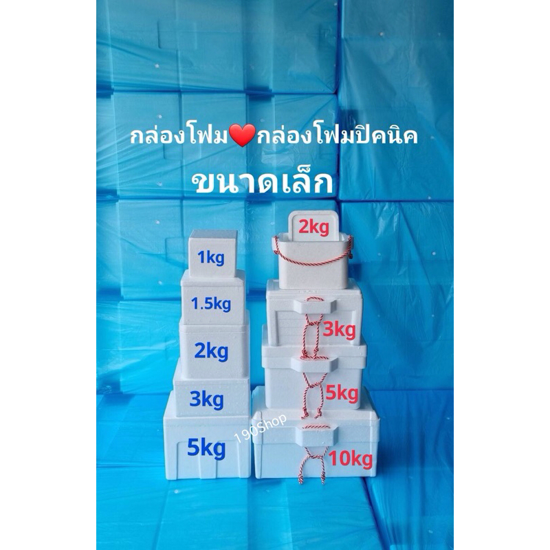 กล่องโฟม 1kg 1.5kg 2kg 3kg 5kg กล่องโฟมปิคนิค 2kg 3kg 5kg 10kg | Shopee Thailand