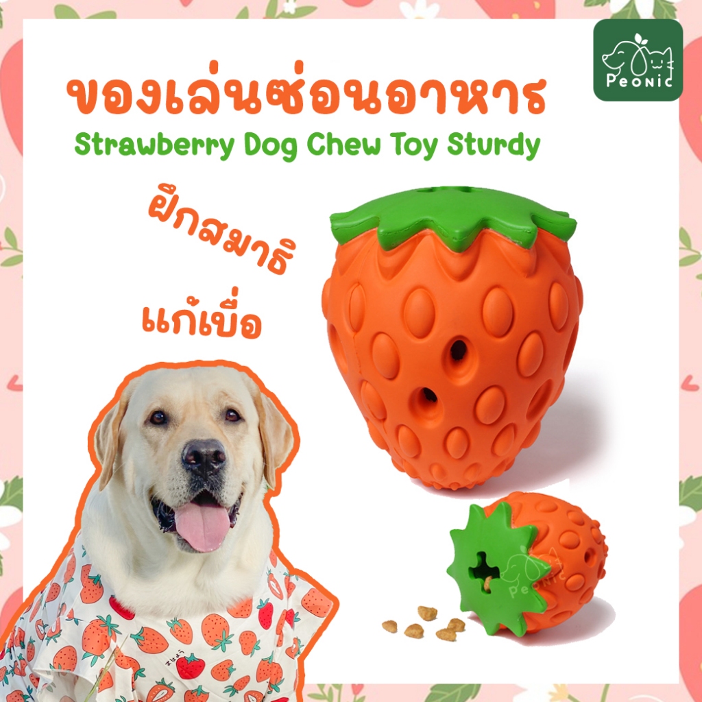 พร้อมส่ง ของเล่นสุนัขยางกัด ใส่ขนมได้ ให้น้องหมาดมกลิ่นฝึกทักษะการเรียน ...