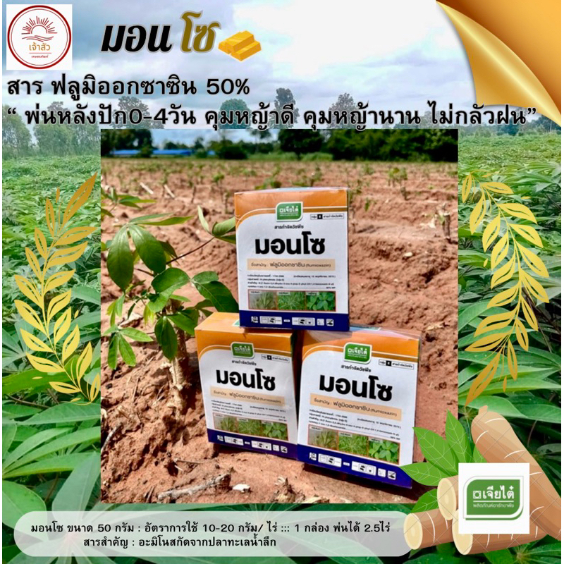 มอนโซ เจียไต๋ ฟลูมิออกซาซิน ขนาด กล่อง 50 กรัม (5gx10ซอง) คุมมัน หลังปัก0-4วัน ทนฝน | Shopee ...