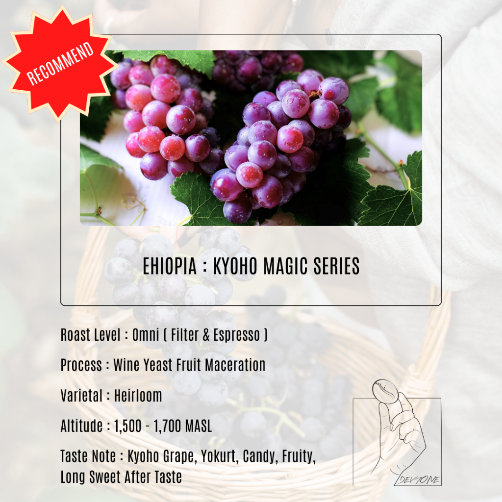 DEV TONE Coffee | ETHIOPIA : KYOHO MAGIC SERIES เมล็ดกาแฟคั่วอ่อน-กลาง ...