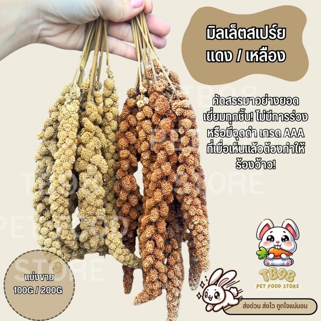 มิลเล็ตสเปรย์แดง / เหลือง อาหารนกแก้ว หนูแฮมสเตอร์ และสัตว์ฟันแทะ Red ...