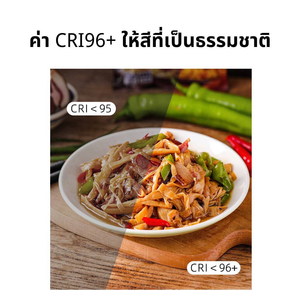 YM200 Ring Light Video Rig รุ่นใหม่ ด้ามจับมือถือ พร้อมไฟ Led ในตัว สำหรับถ่ายภาพ วิดีโอ Vlog ...